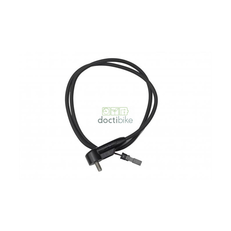 Speed sensor + cable